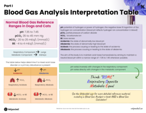 Blood Gas Analysis in Dogs and Cats - Vetpocket