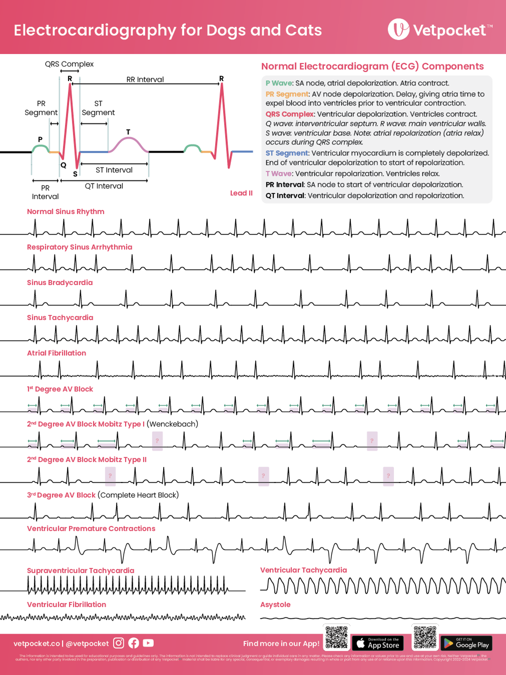 Electrocardiography in Dogs and Cats - Vetpocket