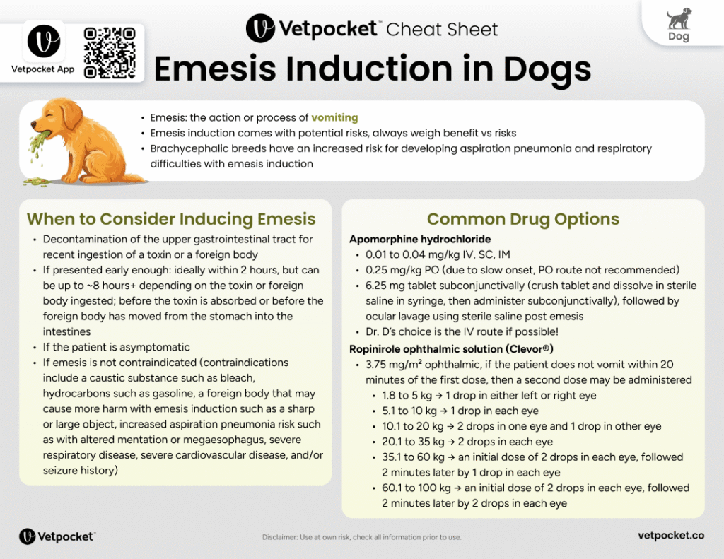 Emesis Induction in Dogs – Free Veterinary Cheat Sheet | VetMed Lounge